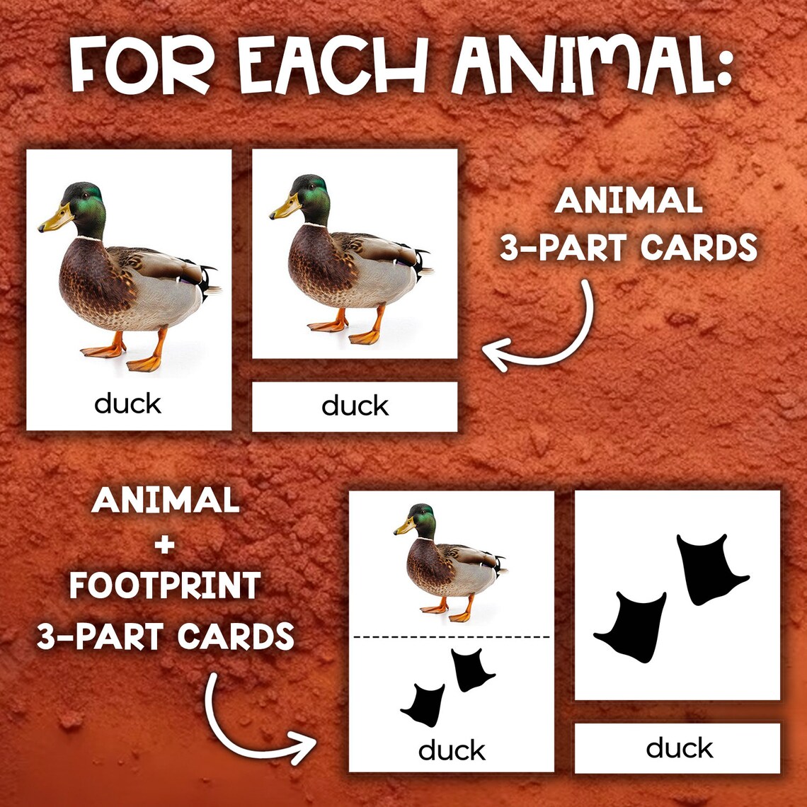Animal Tracks Matching Cards | Animal Footprints Matching Cards ...