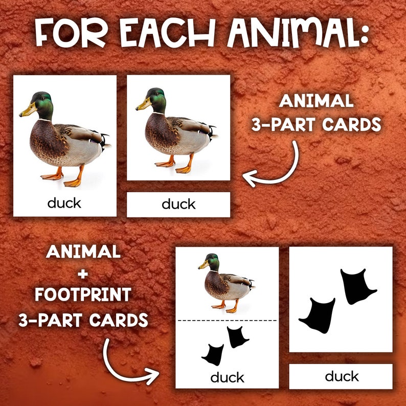 Animal Tracks Matching Cards | Animal Footprints Matching Cards ...