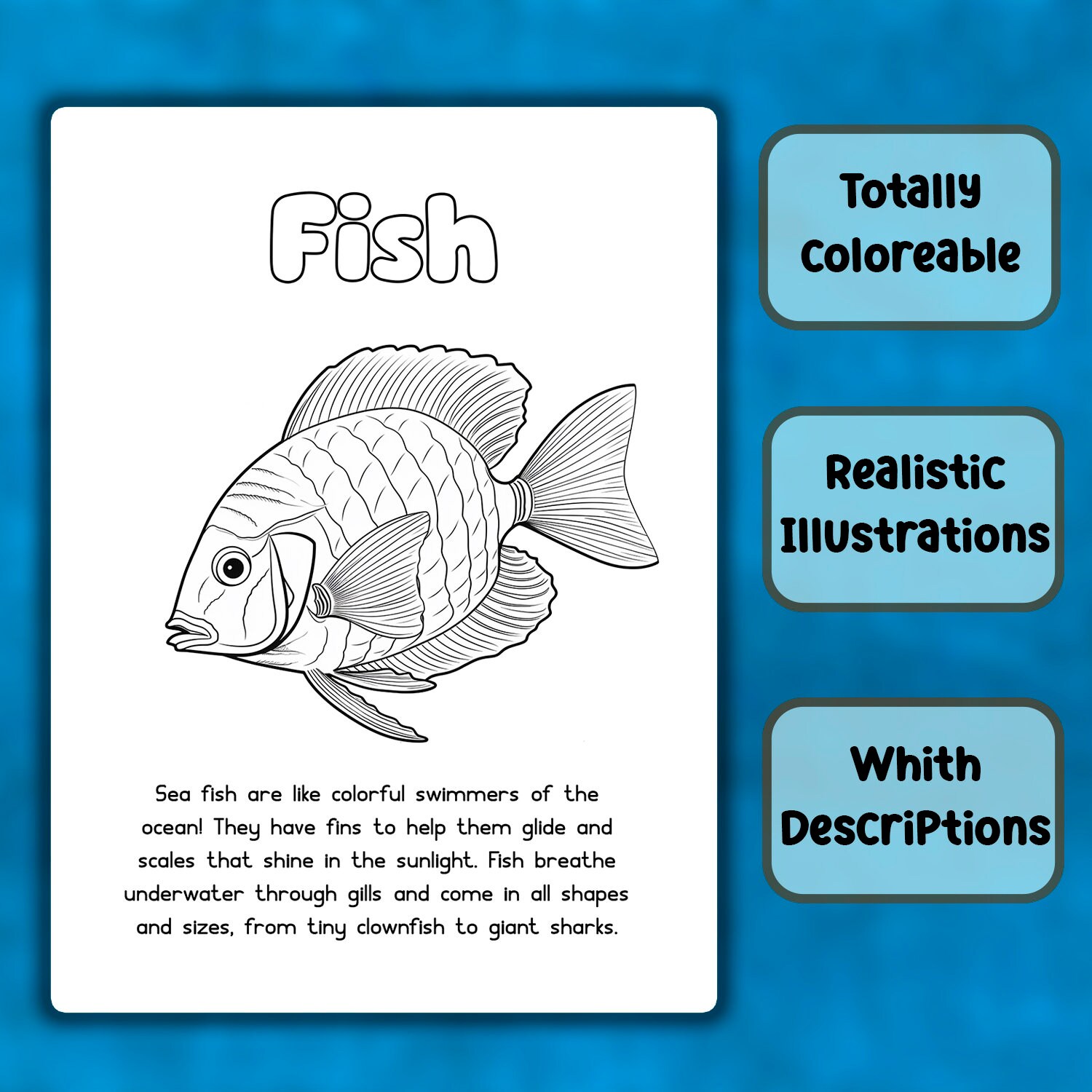 Sea Animals Coloring Pages | Ocean Animals Coloring Pages | Marine ...
