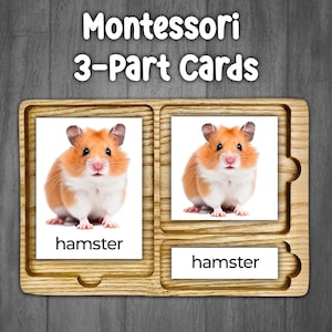Pets Flashcards | Real Pictures | Montessori 3-part Cards | Pets ...