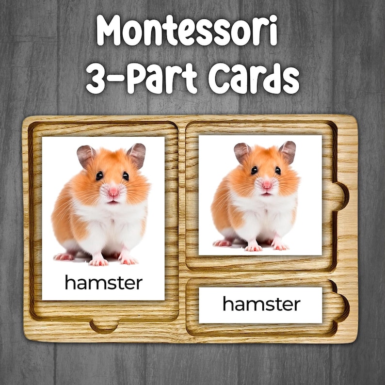 Pets Flashcards Real Pictures Montessori 3-part Cards Pets & Animals ...