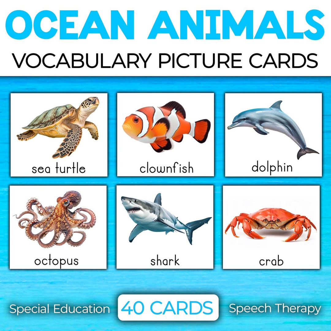 Ocean Animals Vocabulary Picture Cards| Autism Visuals Speech Therapy ...