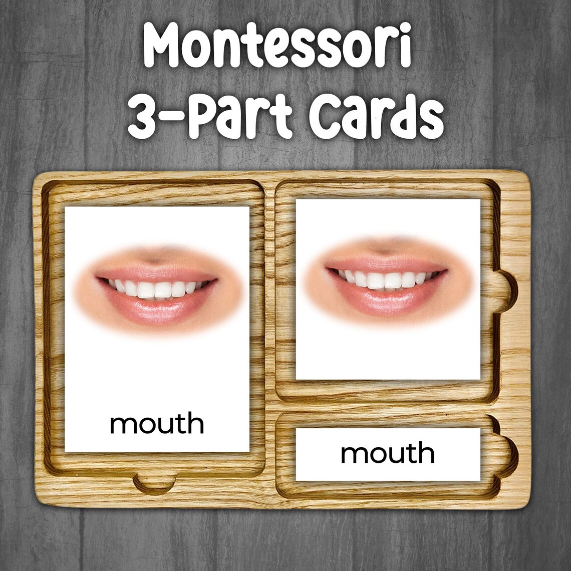 Body Part Flashcards | Real Pictures | Montessori 3-part Cards | Parts ...