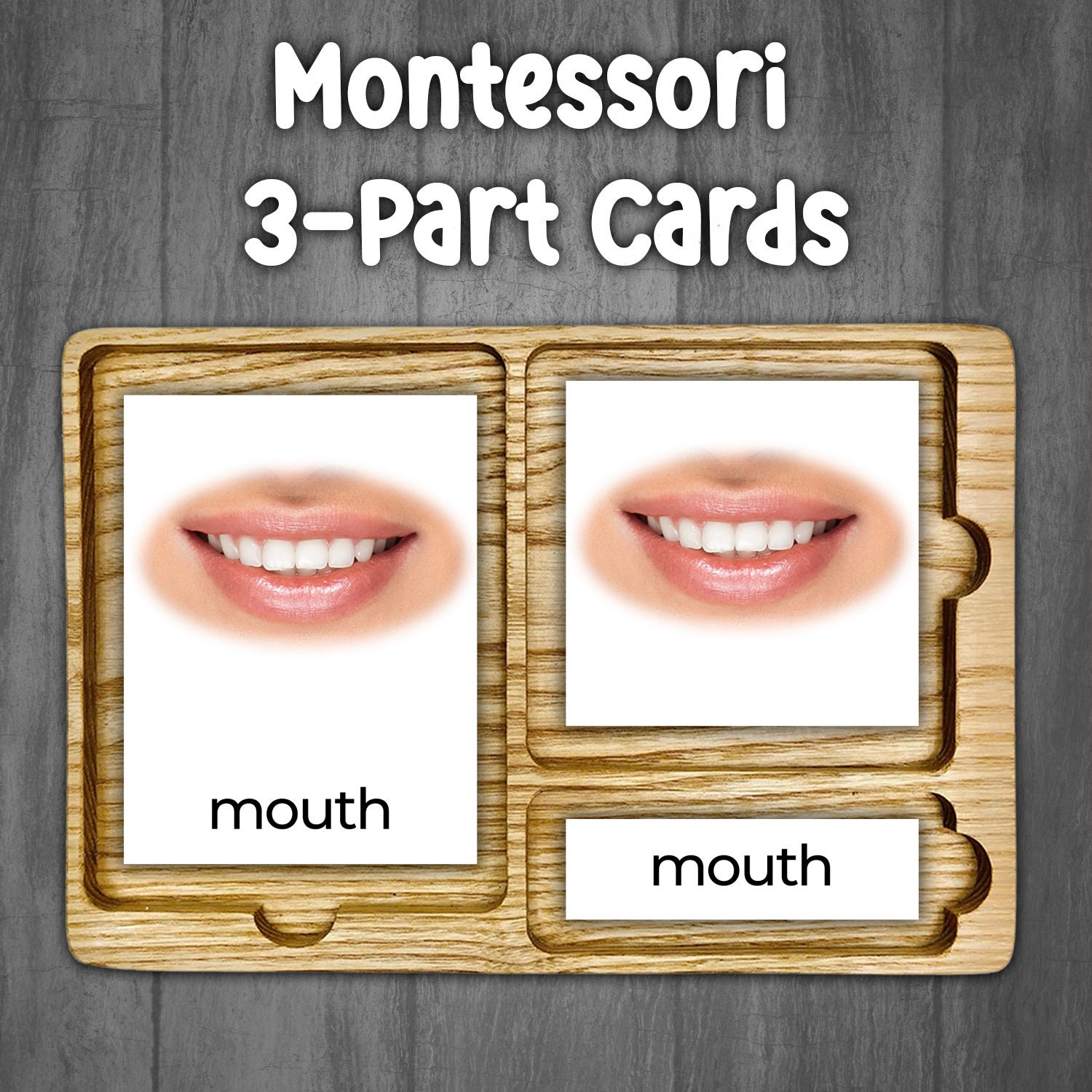 Body Part Flashcards | Real Pictures | Montessori 3-part Cards | Parts ...