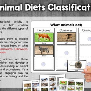Herbivore, Carnivore, Omnivore Matching Activity Sorting Cards ...