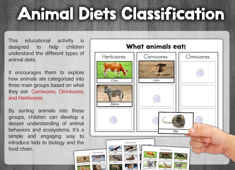 Herbivore, Carnivore, Omnivore Matching Activity Sorting Cards ...