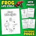 Frog Life Cycle Coloring Pages | Life Cycle of the Frog | Frog Life ...