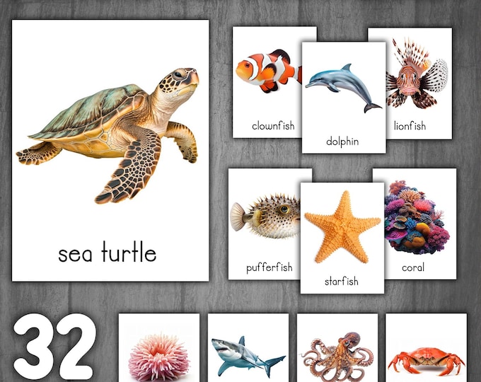 Fruits Flashcards | REAL PICTURES | Fruits Montessori 3-PART Cards ...