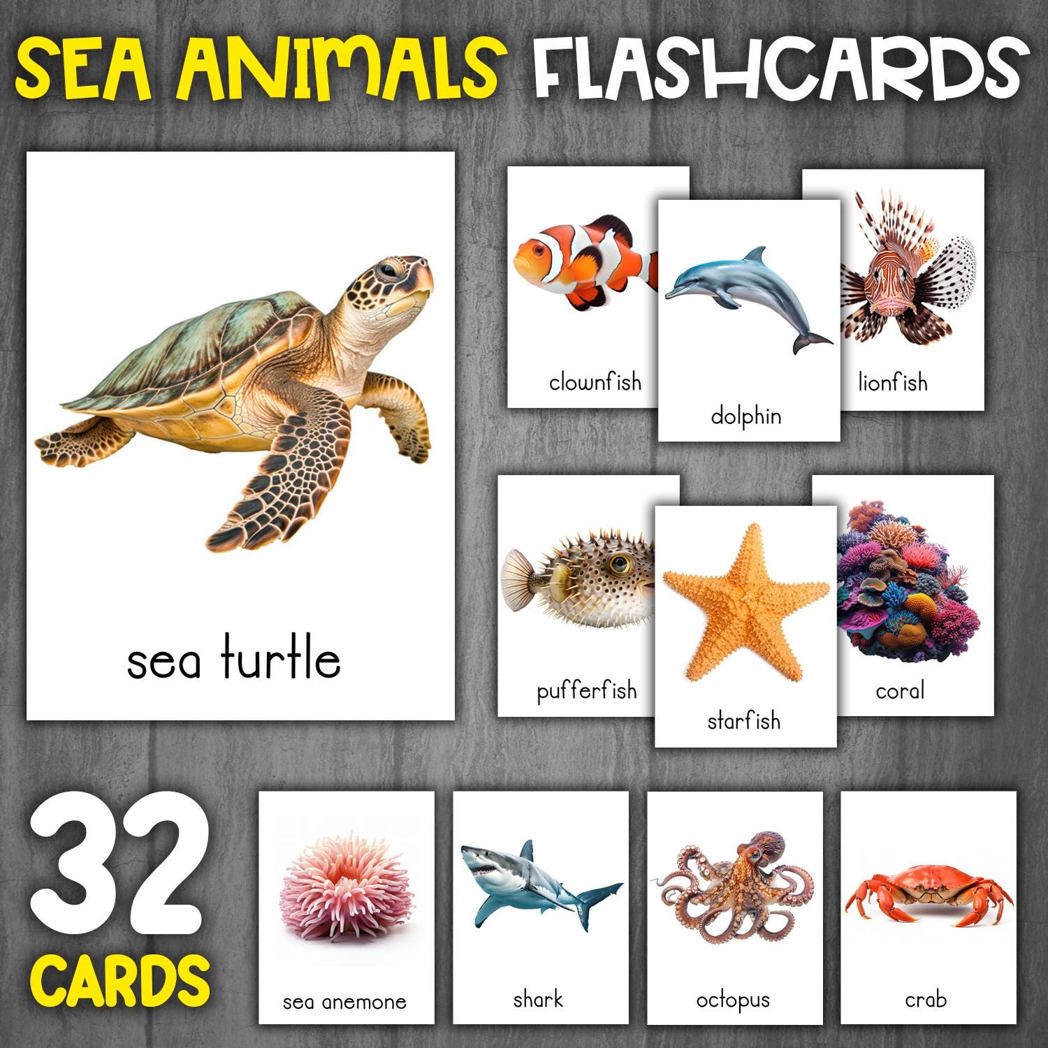 Ocean Animals Flashcards | Sea Animal Flashcards | Real Pictures ...