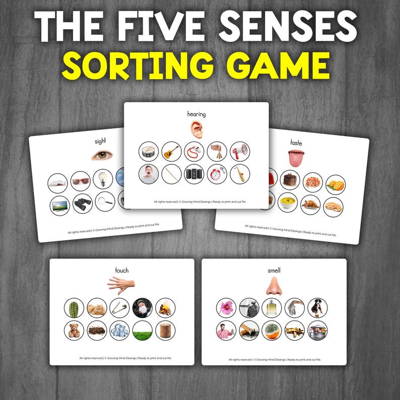 Five Senses Sorting Activity | 5 Senses Matching Activity | Preschool ...