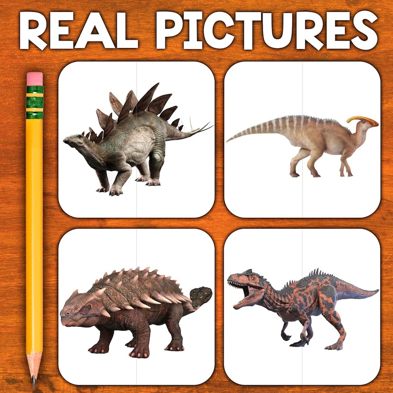 Dinosaurs Matching Activity | Dinosaur Montessori Puzzle Game ...