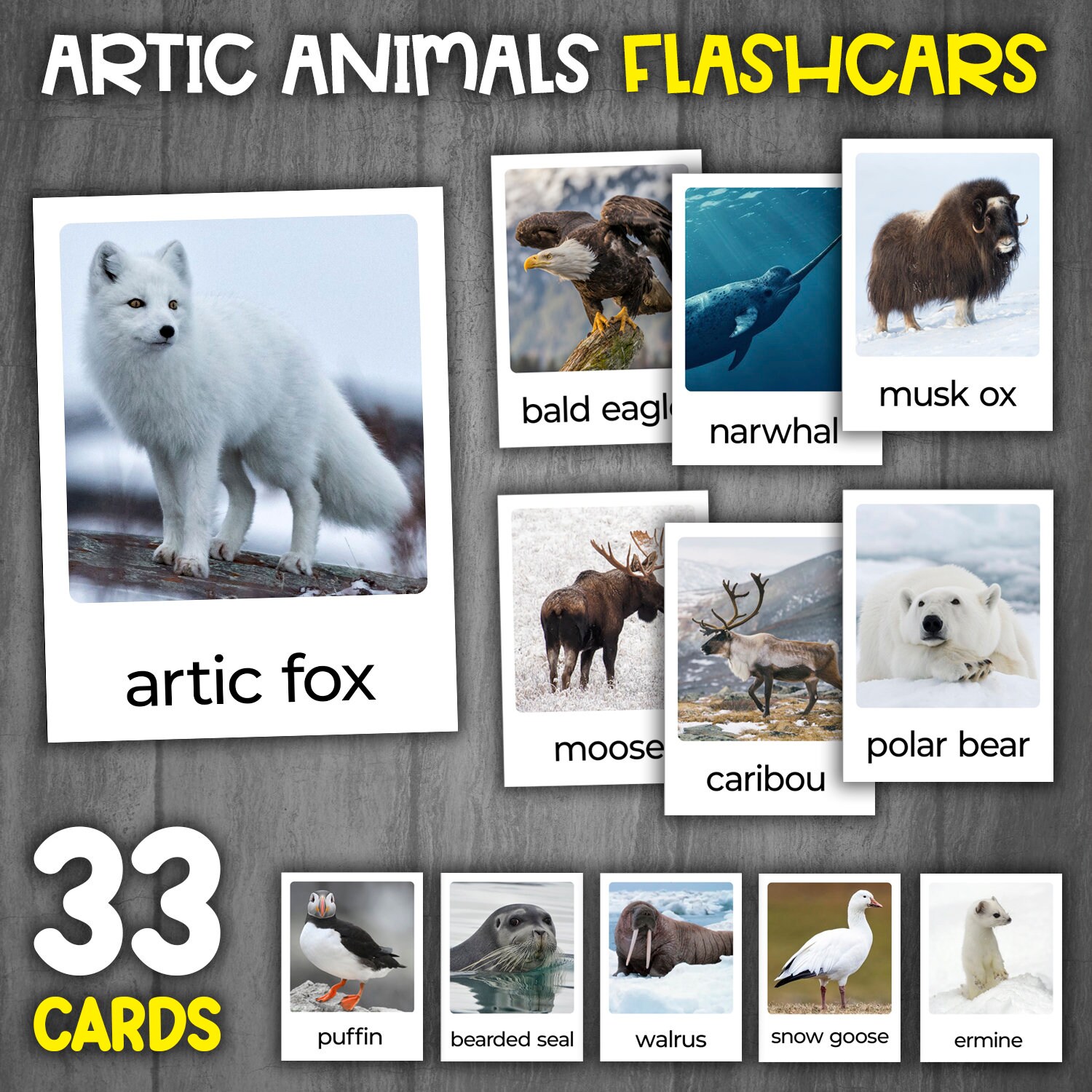 Arctic Animals Flashcards Montessori 3-part Cards Real Pictures Animals ...