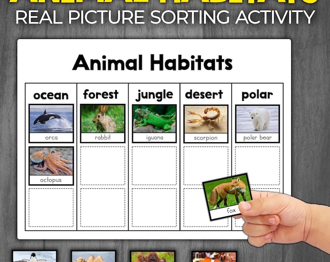 Animal Habitats Sorting Activity | Cut & Paste | Animal Habitats ...