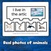 Animal Habitats Sorting Puzzle | Animal Habitat Sort Activity | Animal ...