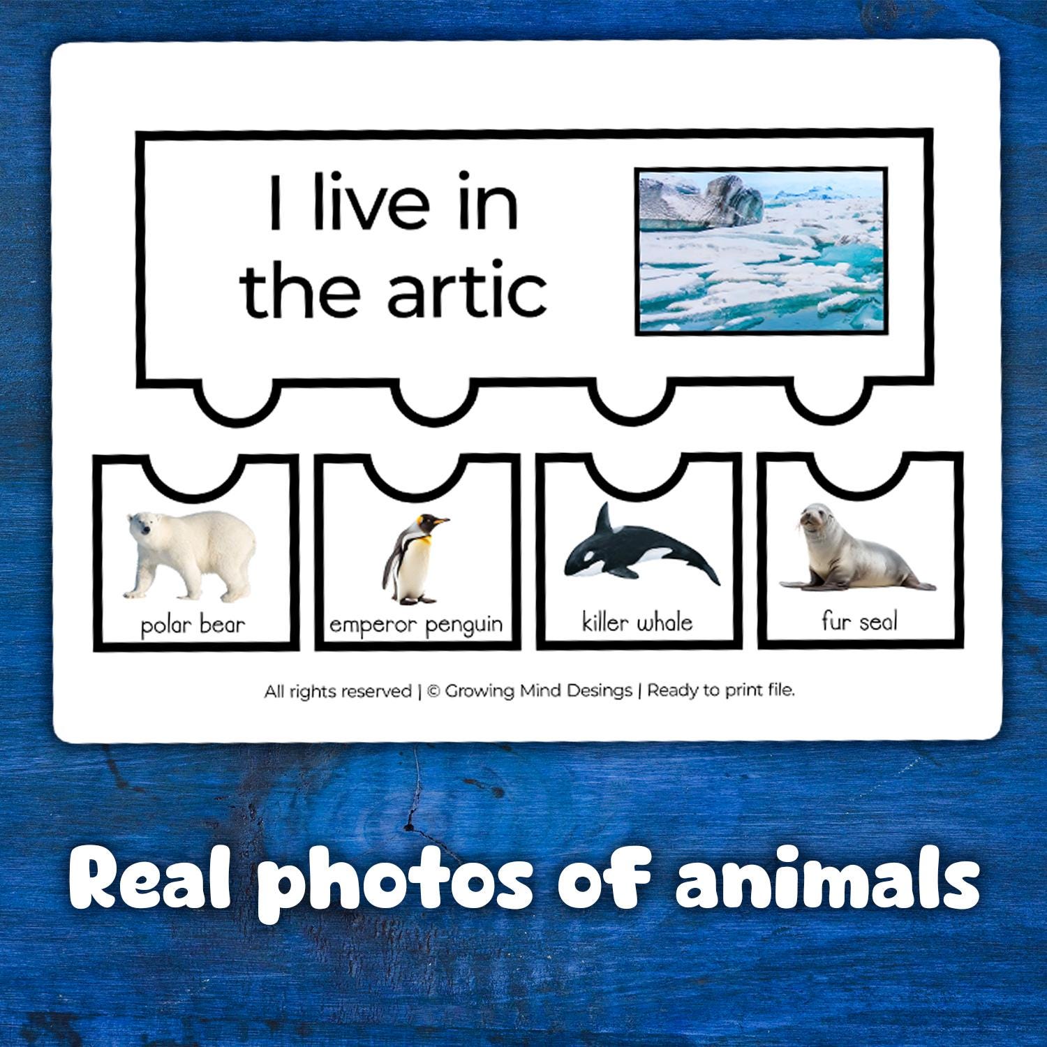 Animal Habitats Sorting Puzzle | Animal Habitat Sort Activity | Animal ...