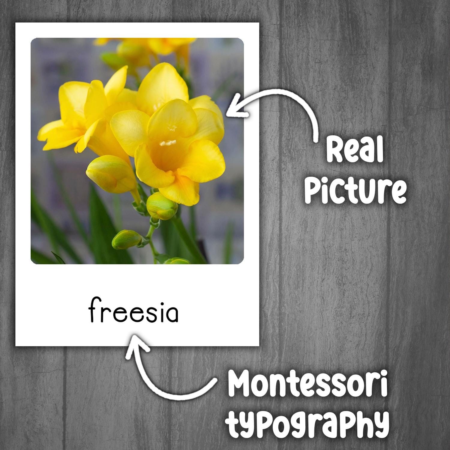 Types of Flowers Flashcards | Real Pictures | Montessori 3-part Cards ...