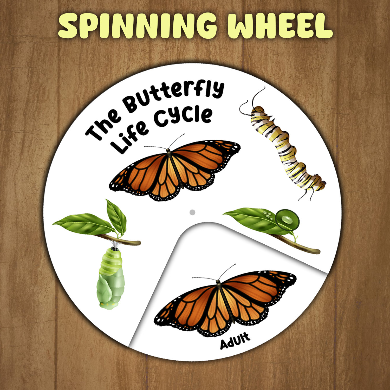Butterfly Life Cycle Activity for Kids Butterfly Craft Printable Life ...
