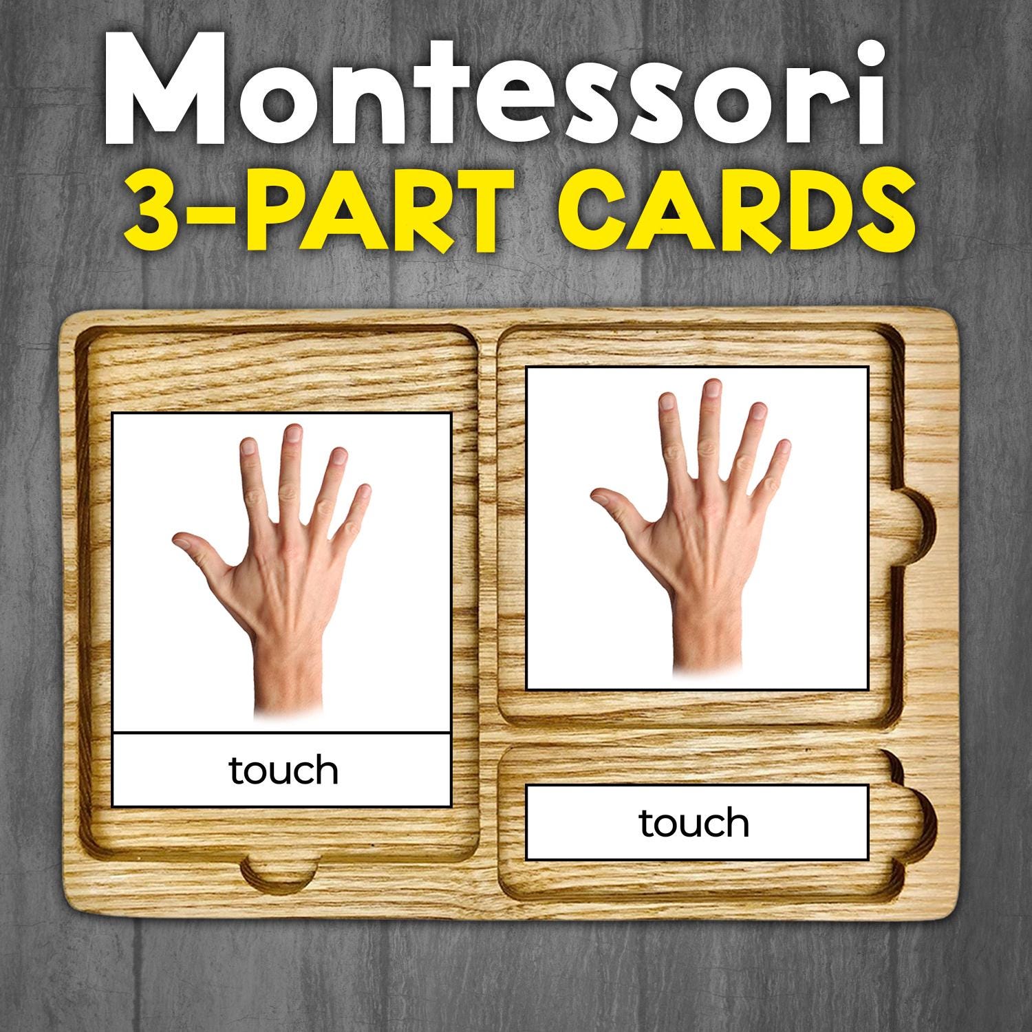 Five Senses 3-part Cards | Five Senses Montessori Activity | 5 Senses ...