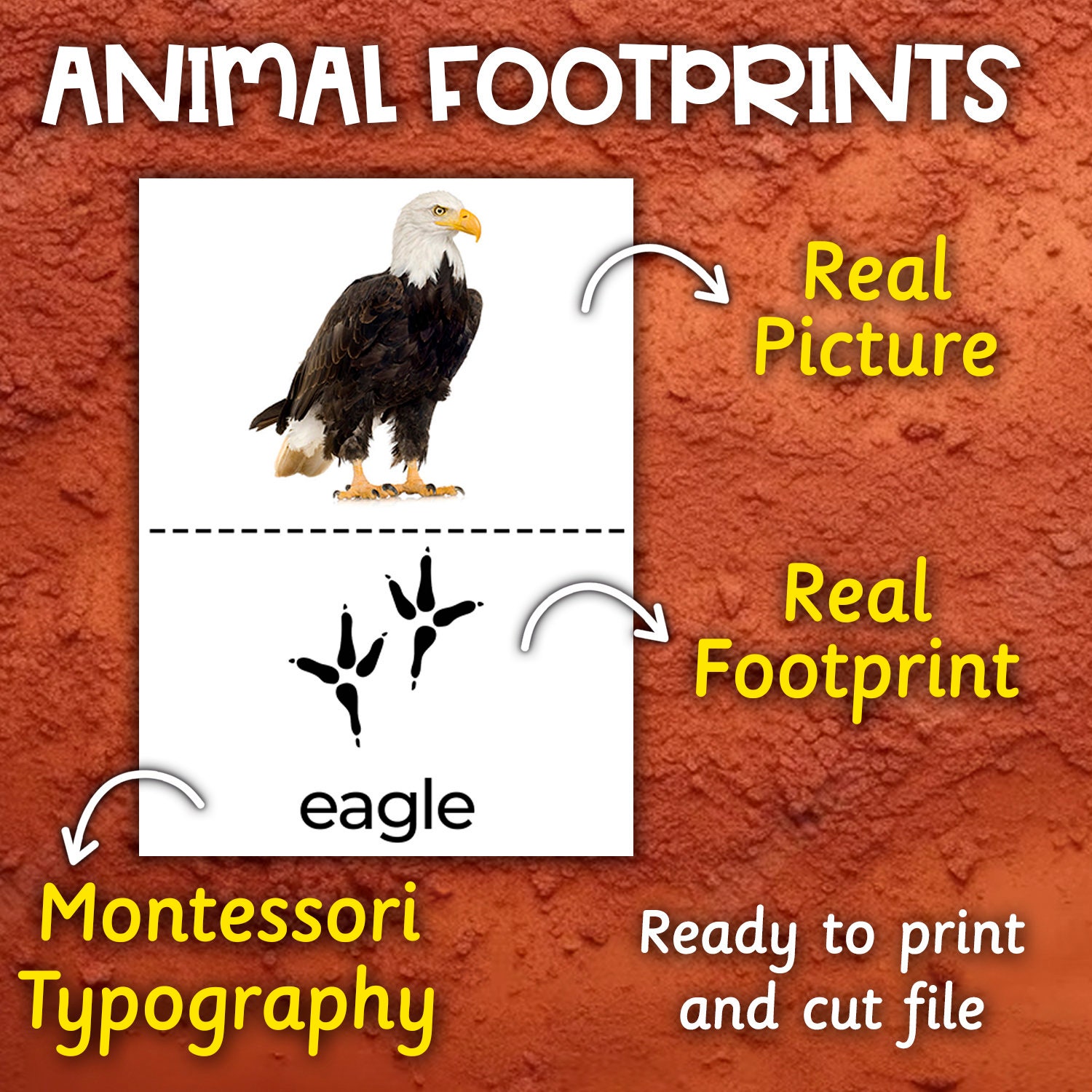 Animal Tracks Matching Cards | Animal Footprints Matching Cards ...