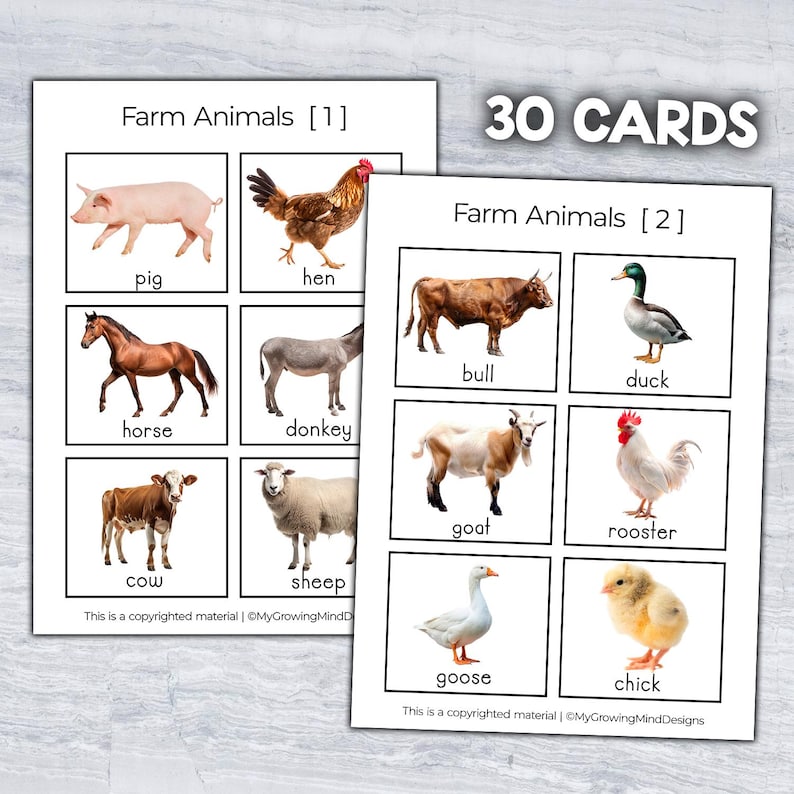 Farm Animals Picture Cards Flashcards | Autism Visuals Speech Therapy ...