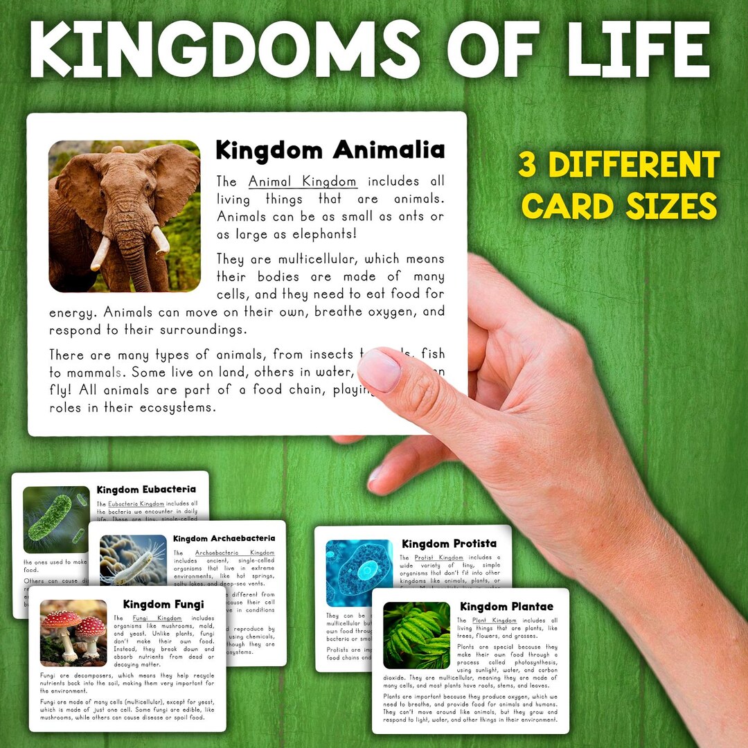The Six Kingdoms of Life | Information Cards | Life Kingdoms Reading ...