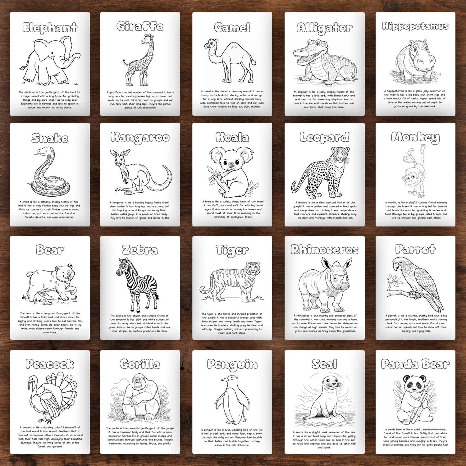 Zoo Animals Coloring Pages | WITH DEFINITIONS | Zoo Animals for ...