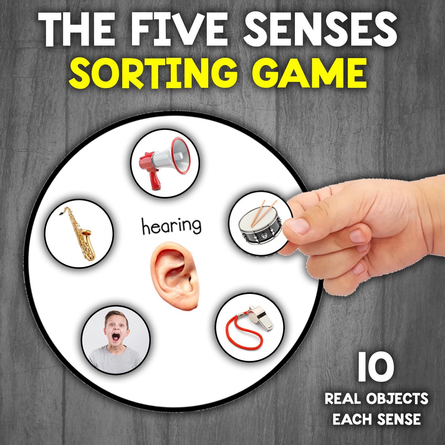 Five Senses Sorting Activity | 5 Senses Matching Activity | Preschool ...
