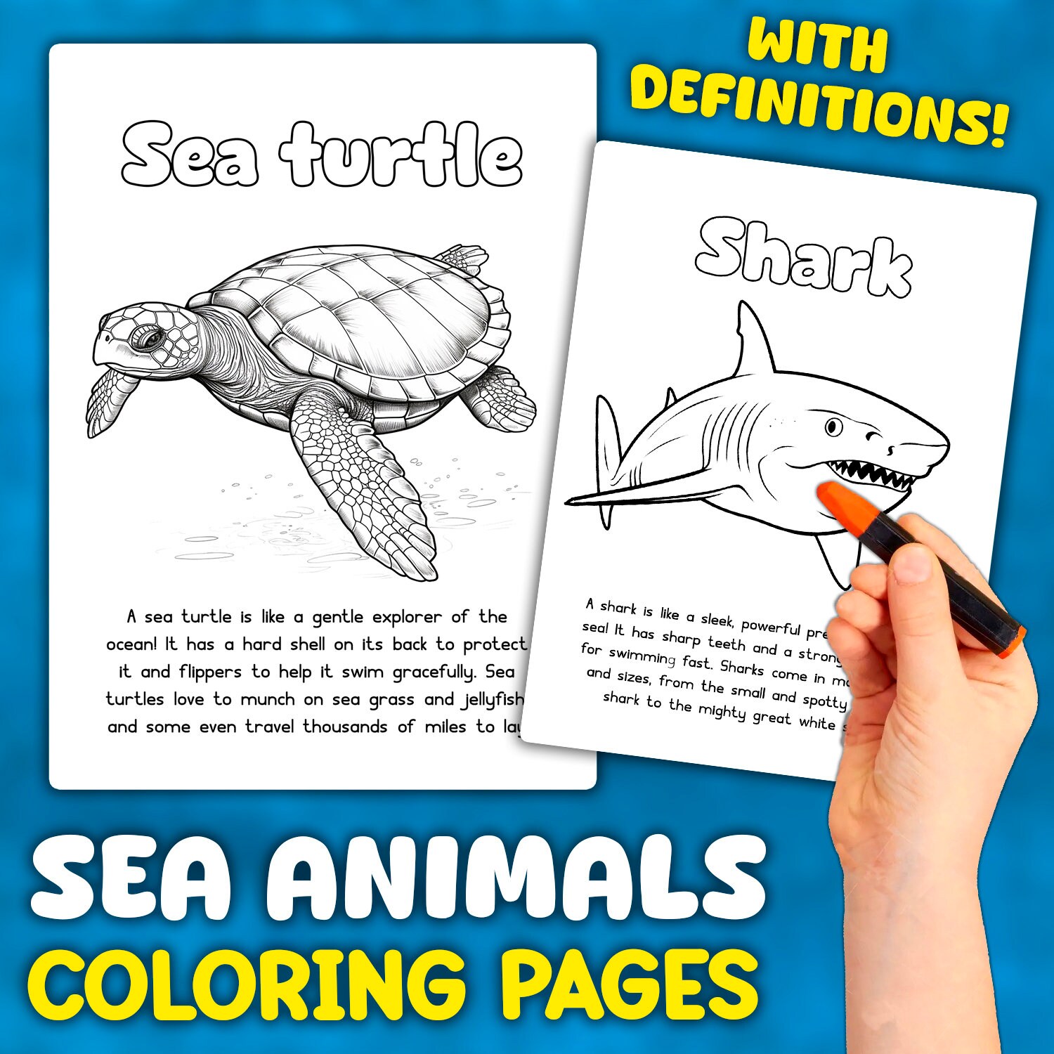 Sea Animals Coloring Pages | Ocean Animals Coloring Pages | Marine ...