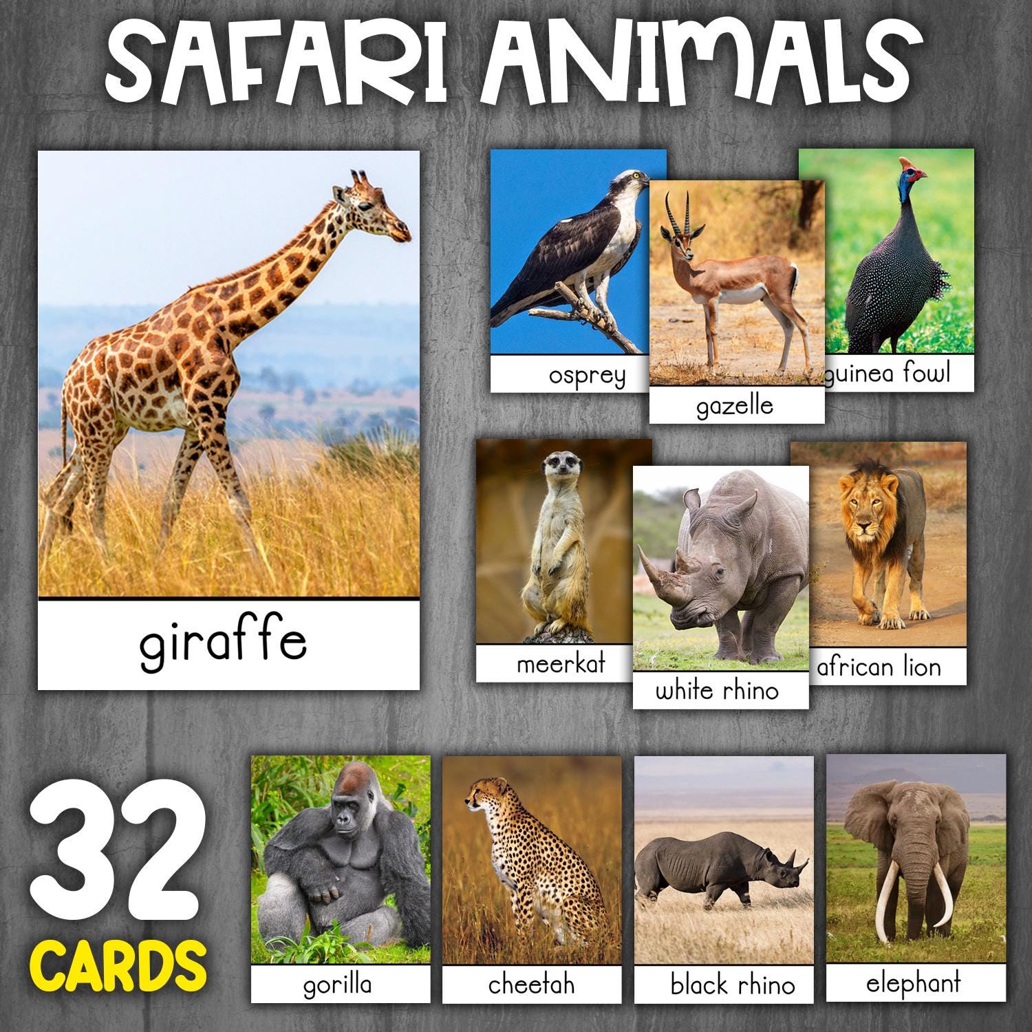 Safari Animals Flashcards Real Pictures Montessori 3-part Cards Savanna ...