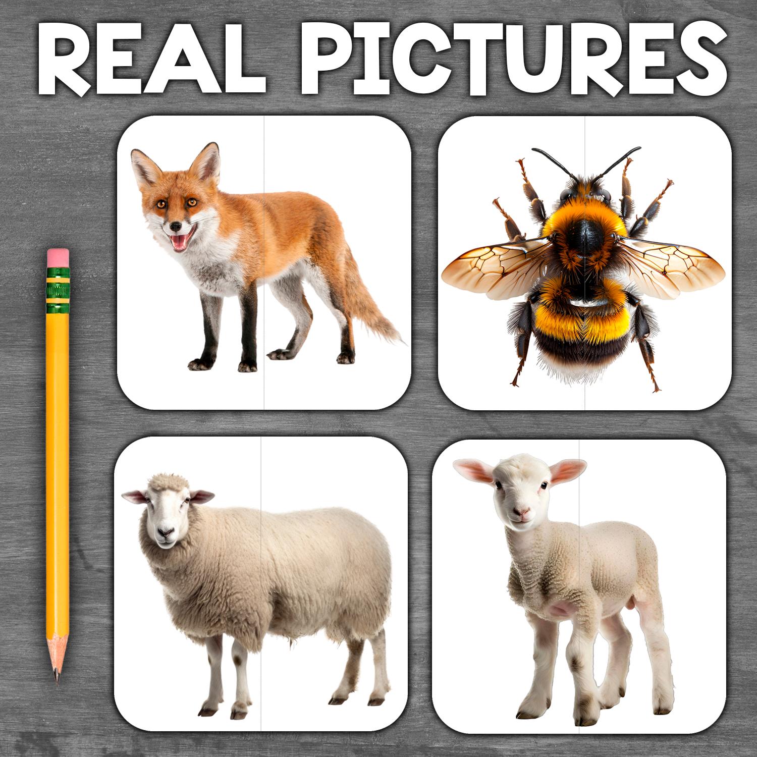 Farm Animals Matching Activity | Montessori 2-piece Puzzle Game ...