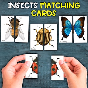 Bugs and Insects Matching Cards | Symmetry Montessori Activity ...