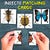 Bugs and Insects Matching Cards | Symmetry Montessori Activity ...