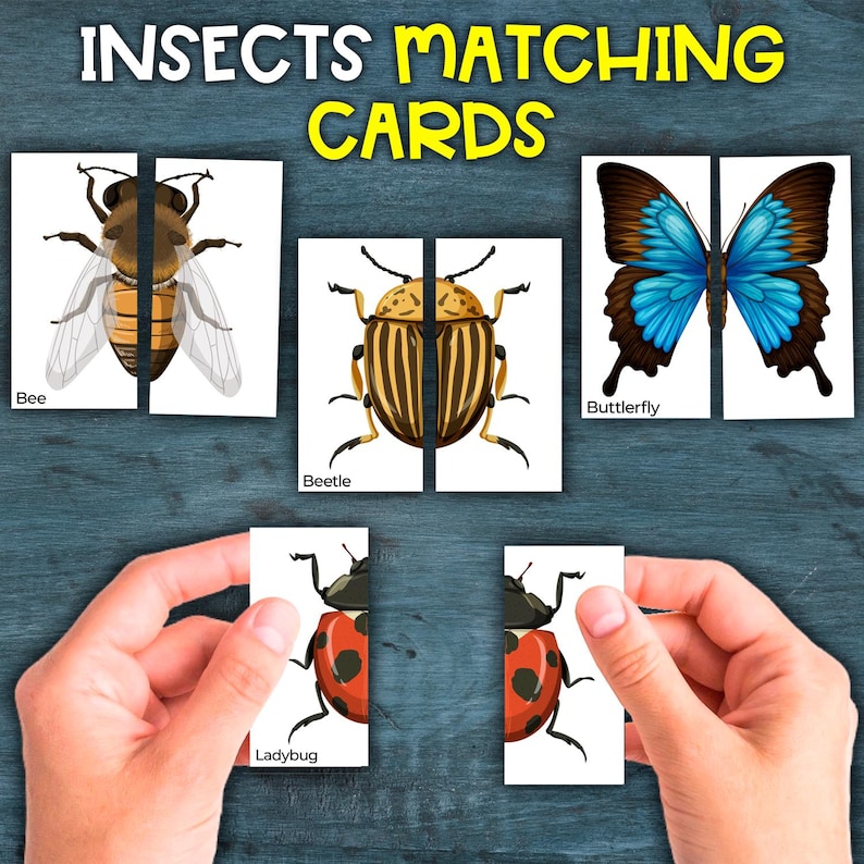 Bugs and Insects Matching Cards | Symmetry Montessori Activity ...