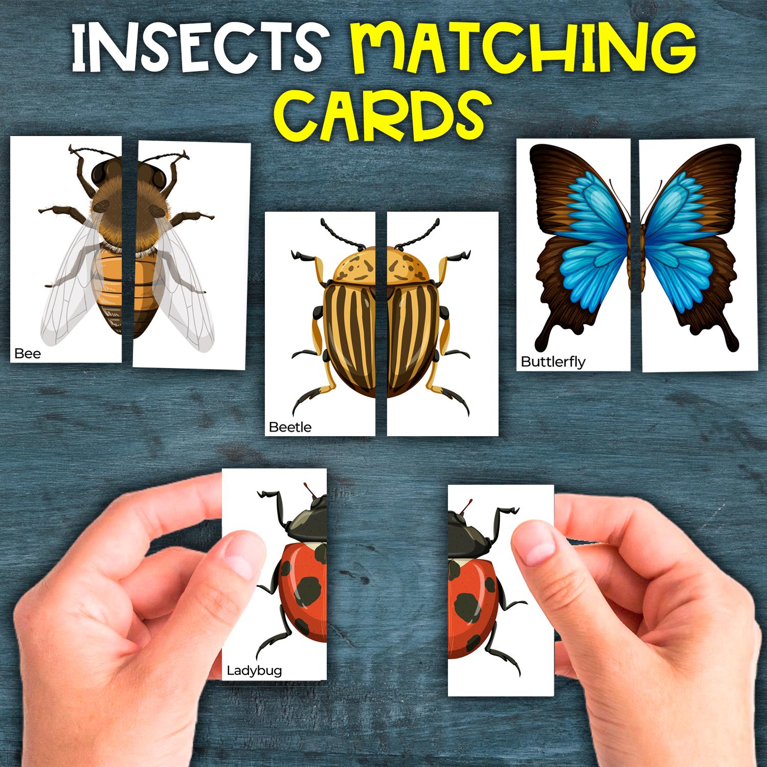 Bugs and Insects Matching Cards | Symmetry Montessori Activity ...