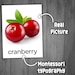 Fruits Flashcards | REAL PICTURES | Fruits Montessori 3-PART Cards ...