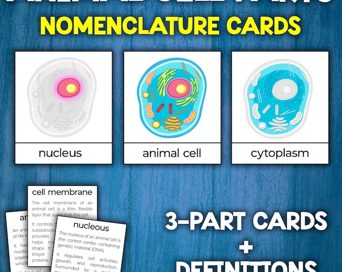Parts of a Plant Cell Nomenclature Book - Science - Printable ...