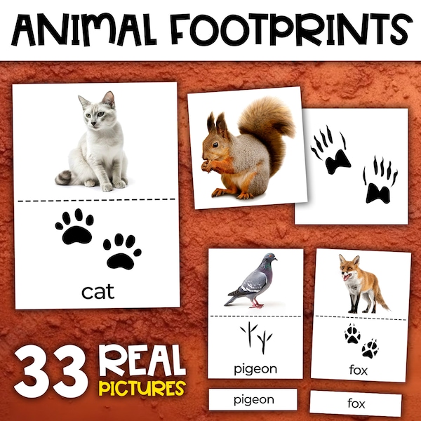 School Objects Vocabulary Flashcards Classroom Objects Vocabulary ...