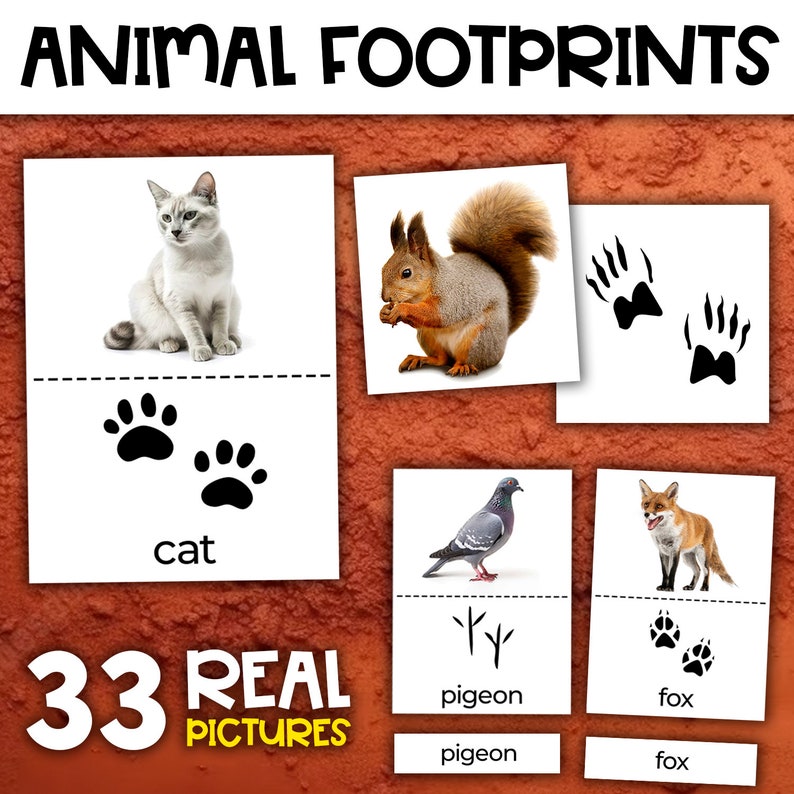 Animal Tracks Matching Cards | Animal Footprints Matching Cards ...