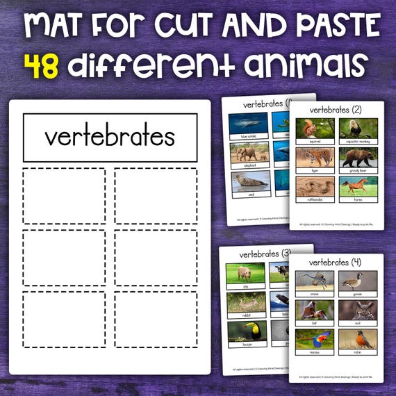 Vertebrates And Invertebrates Worksheets