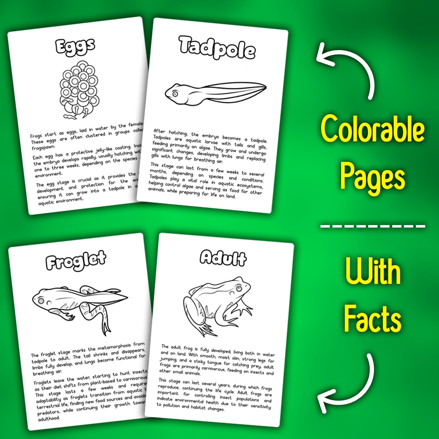 Frog Life Cycle Coloring Pages | Life Cycle of the Frog | Frog Life ...