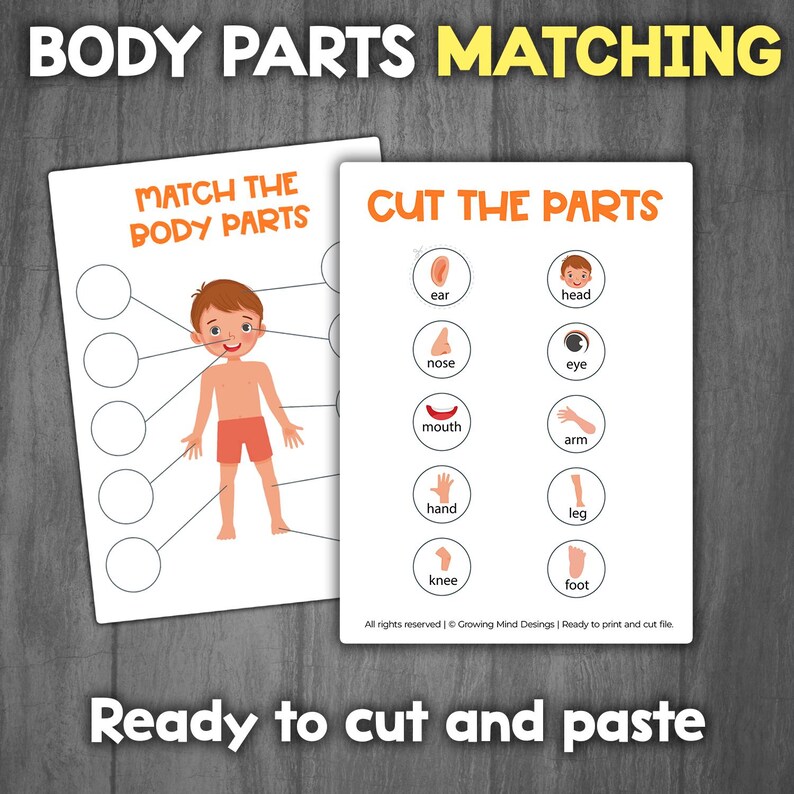 Body Parts Matching Activity | Parts of the Body for Preschool and ...