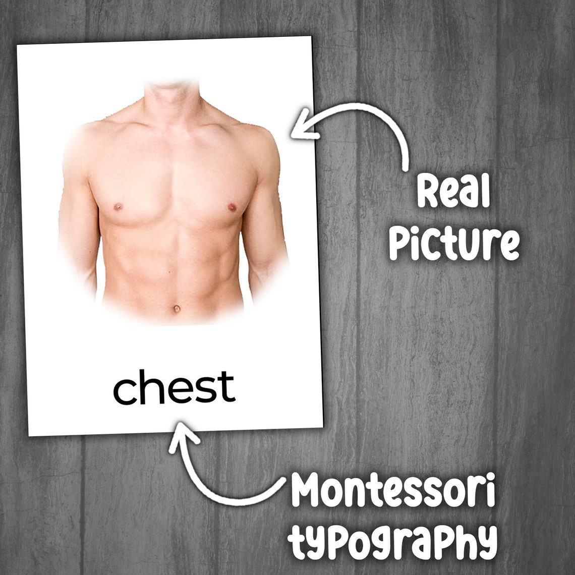 Body Part Flashcards | Real Pictures | Montessori 3-part Cards | Parts ...