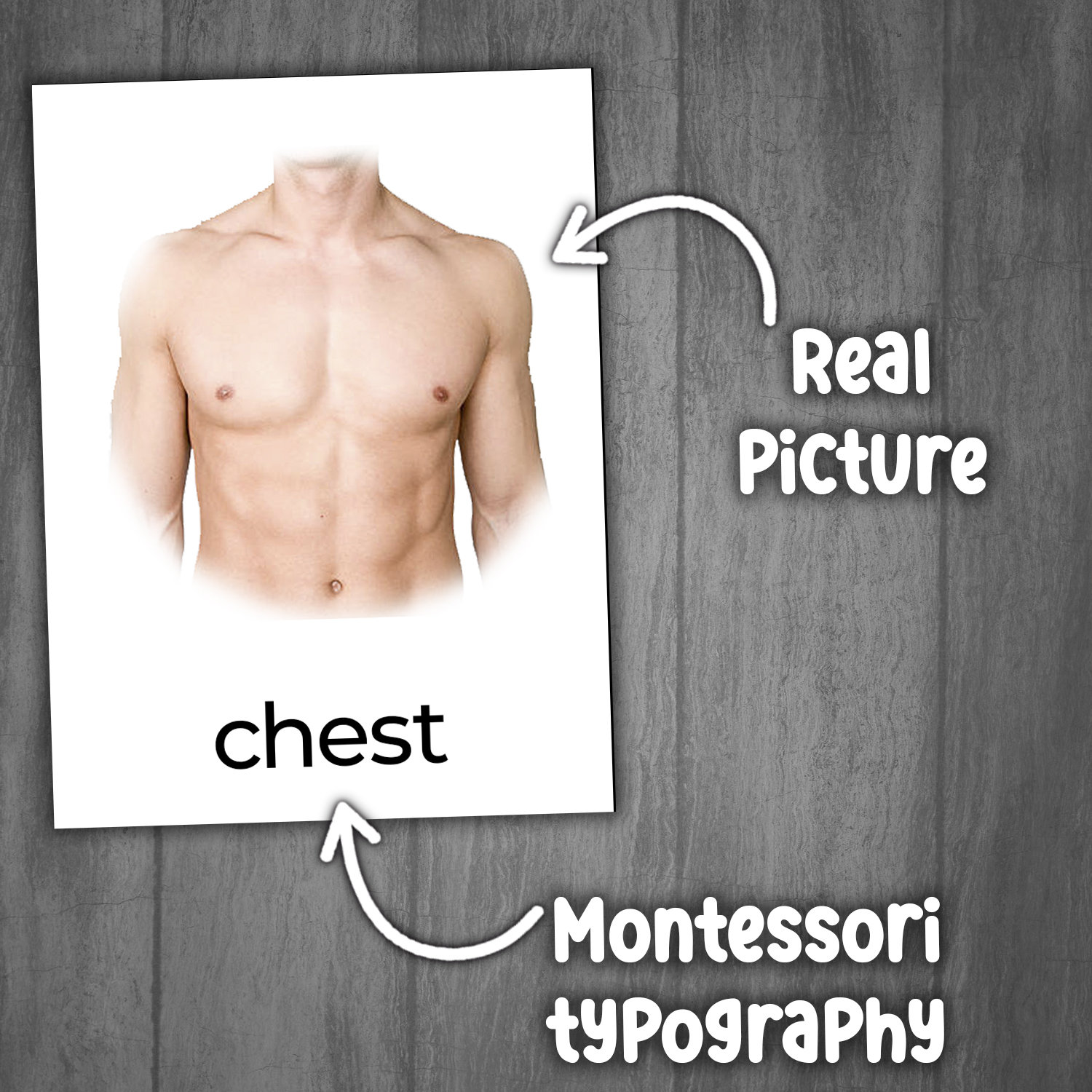 Body Part Flashcards | Real Pictures | Montessori 3-part Cards | Parts ...
