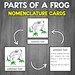 Parts of a Frog 3-part Cards Montessori Nomenclature Cards Frog Anatomy ...