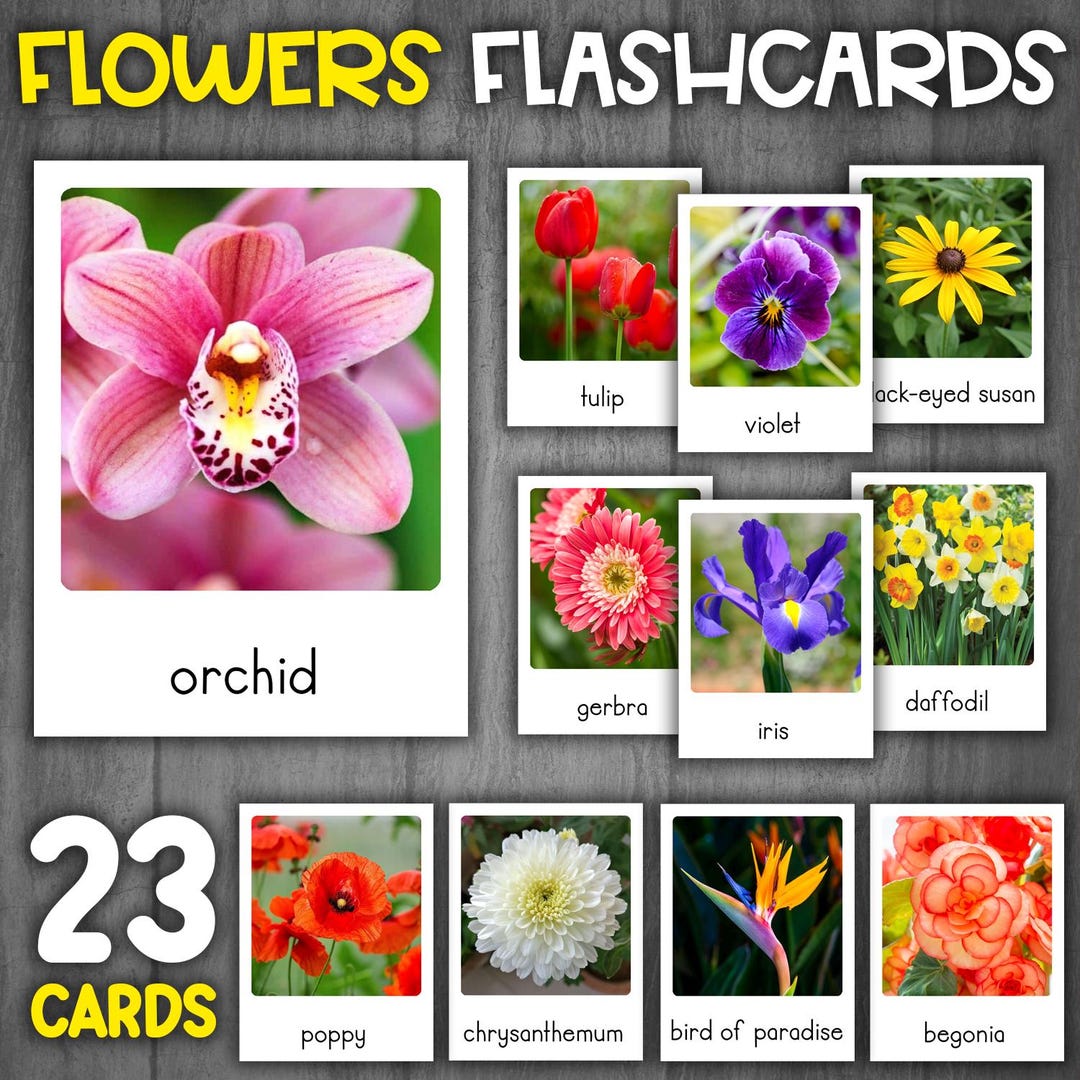 Types of Flowers Flashcards | Real Pictures | Montessori 3-part Cards ...