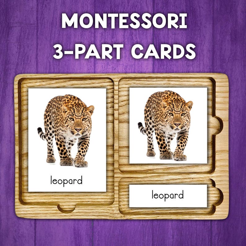 Zoo Animals Vocabulary Flashcards | Real Picture Cards | Zoo Animals ...