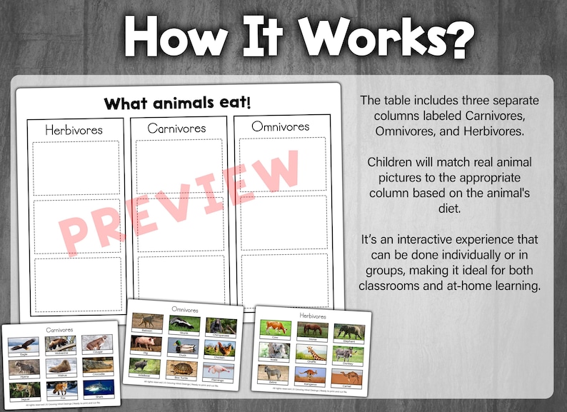 Herbivore, Carnivore, Omnivore Matching Activity Sorting Cards ...