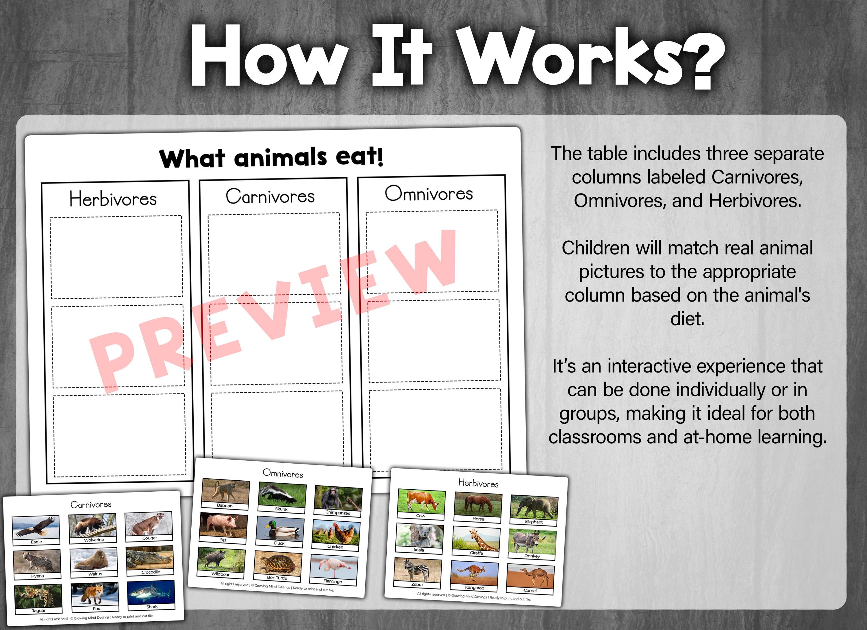 Herbivore, Carnivore, Omnivore Matching Activity Sorting Cards ...