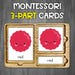 Colors Vocabulary Flashcards Preschool Colors Montessori 3-part Cards ...