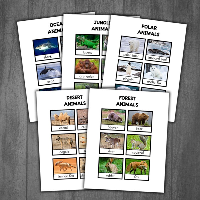 Animal Habitats Sorting Activity & Sort Activities | Sort by Habitat ...
